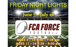 Home [www.fcaforce.com]